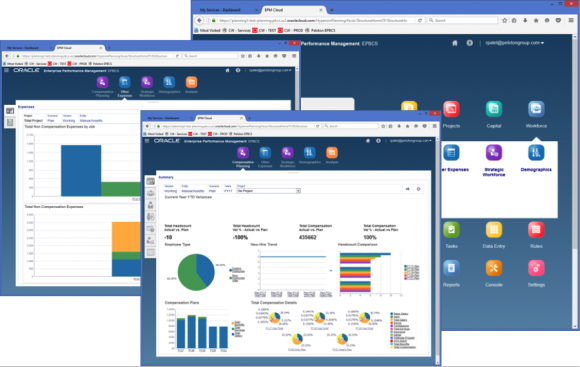 Oracle EPBCS Workforce Planning Business Process - Peloton Consulting ...